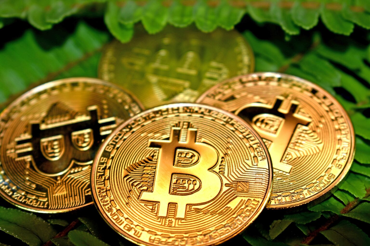 Bitcoin Price Up As Trump Says New Fed Chair Will Slash Rates