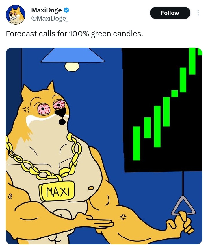 Top New Crypto Coins to Buy Now - Maxi Doge, Vana, Unibase - CoinNews