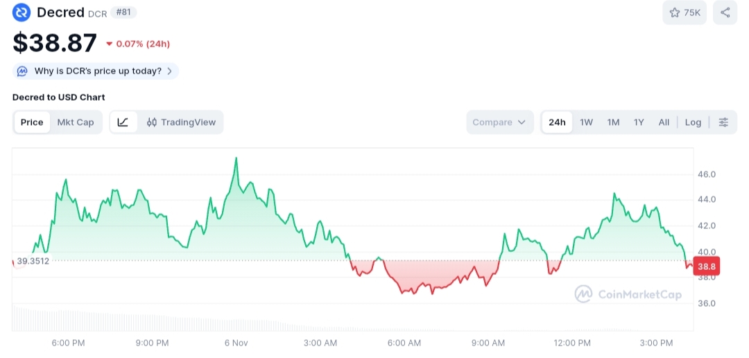Best Crypto to Buy for Explosive Growth- Next Big Altcoins to Watch this Year – Kaspa, Decred ...
