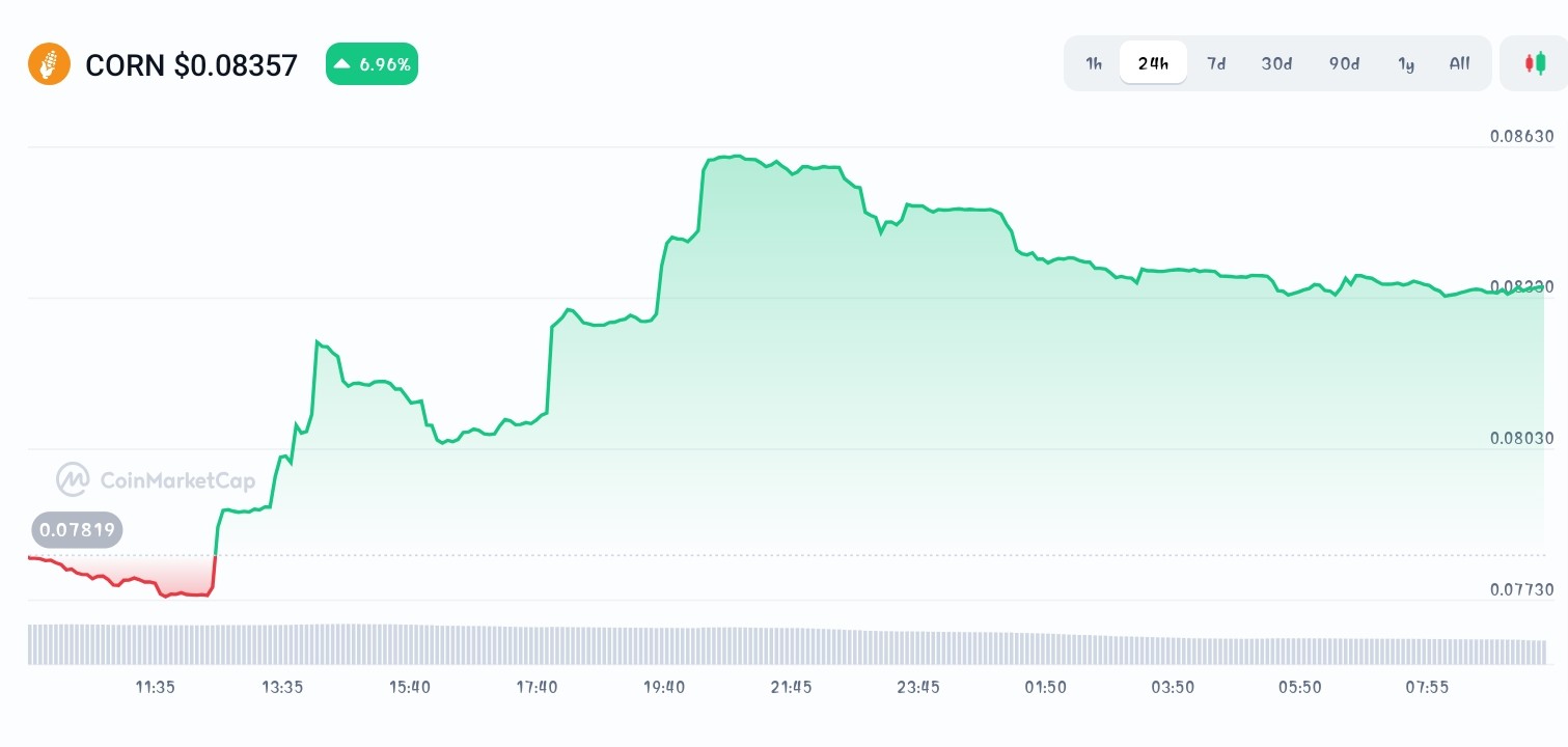 What the Whales Are Buying: 5 New Crypto Coins Dominating the Narrative ...
