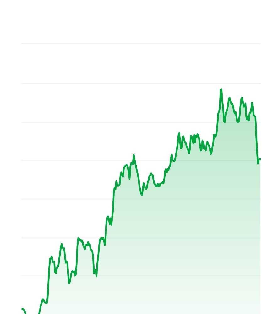Best Meme Coins Investors Are Watching on January 03: Pudgy Penguins ...