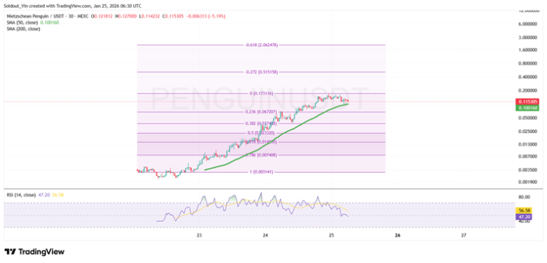 Meme Coin PENGUIN Skyrockets 165% After Trump-Penguin Post